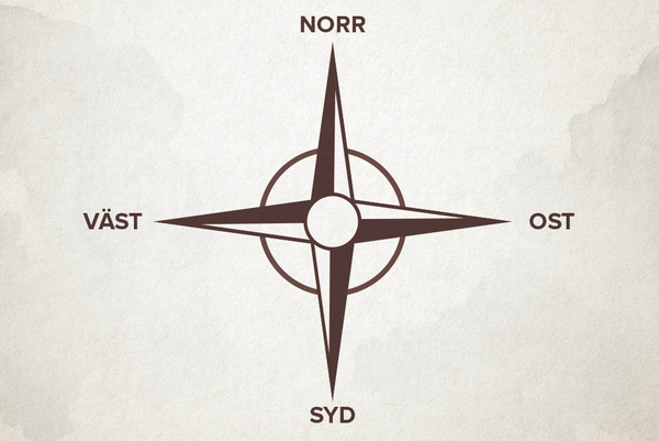 Rita en kompassros